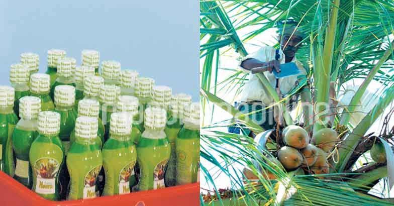 Kerala govt plans ambitious brand push to add fizz to Neera drink ...