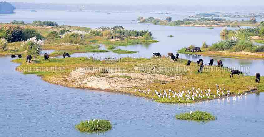 Bharathappuzha | Bharathappuzha