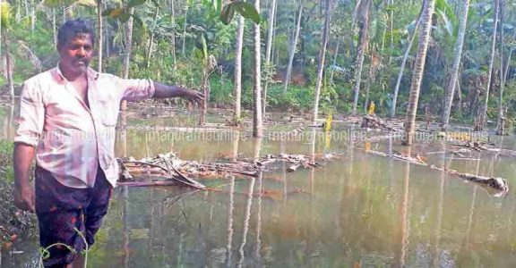 Closed waste treatment plant still troubles locals | Valapilsala ...