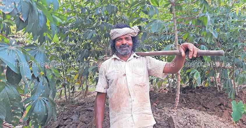 Wayanad tribal pitches for traditional farming ways at global meet ...