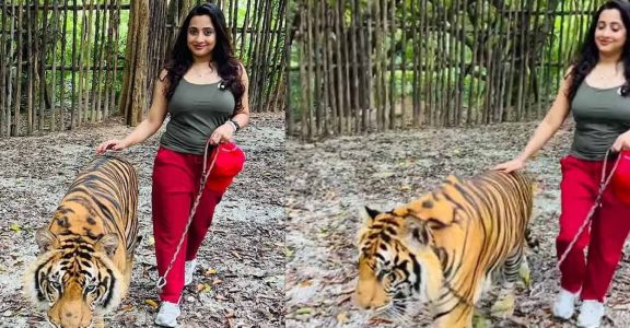 Poojitha Menon’s daring ‘catwalk’ with a tiger stuns netizens ...