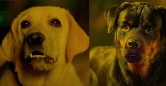 Mollywood actors join 'Valatty - Tale of Tails' as voice artists for ...