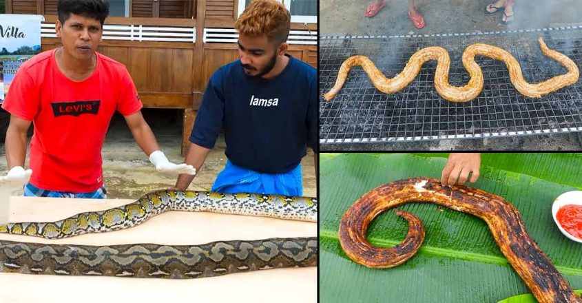 Kerala vlogger takes cooking to next level - grills 35kg snake in Indonesia