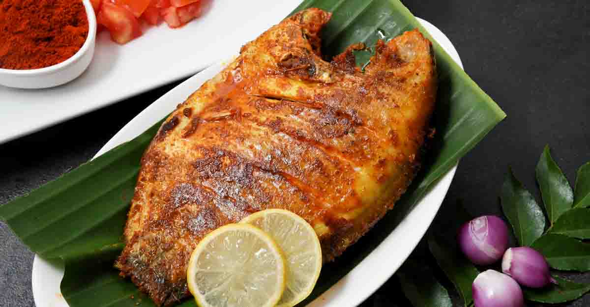 Seer Fish | Seer Fish