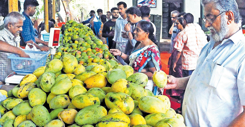 Alphonso Mangoes | Alphonso Mangoes