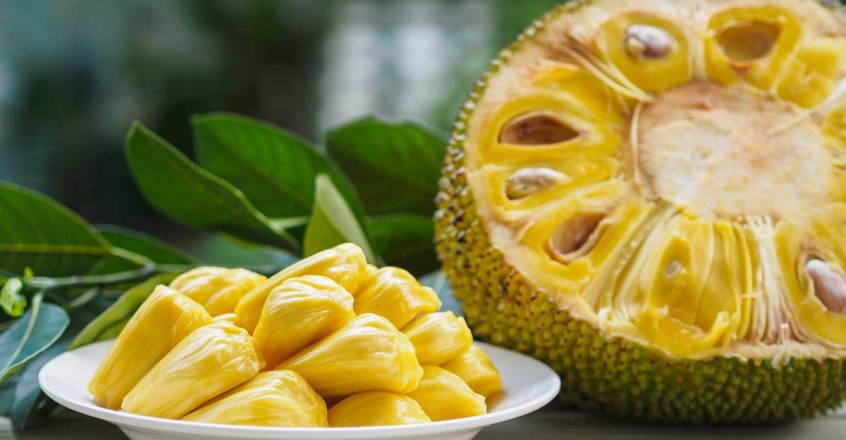 Jackfruit season is on and the countryside celebrates | Food | Manorama ...