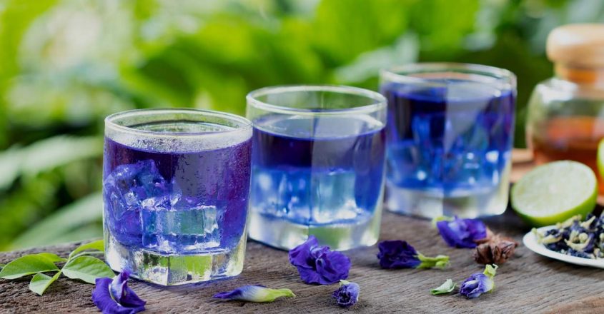 Know the incredible benefits of blue tea