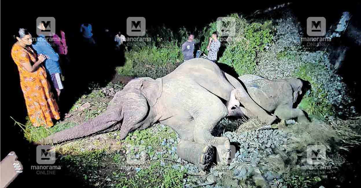 Kanjikode | Kanjikode