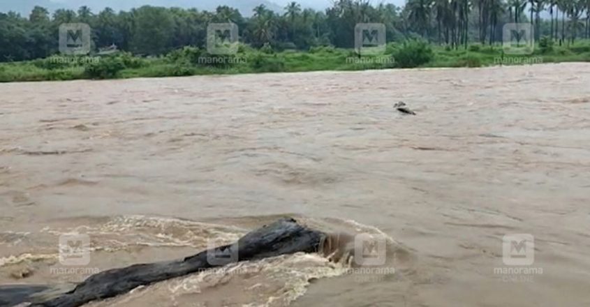 Kerala witnesses heavy rain: Chaliyar river swells, orange alert in 5 districts | Kerala News ...