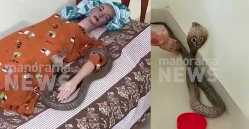 Uthra murder case: Video footage of dummy trial with snake released