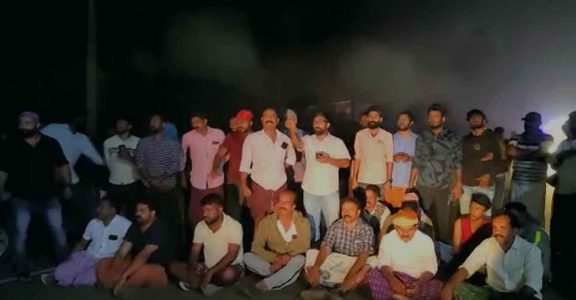 Wayanad's tiger kills two cows and injures another, Cheeral residents ...