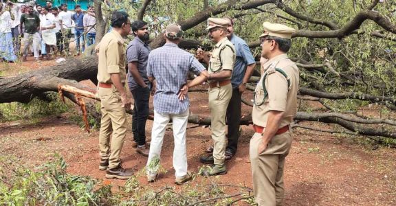 If Malappuram-like bird tragedy happens again, Forest officials will be ...
