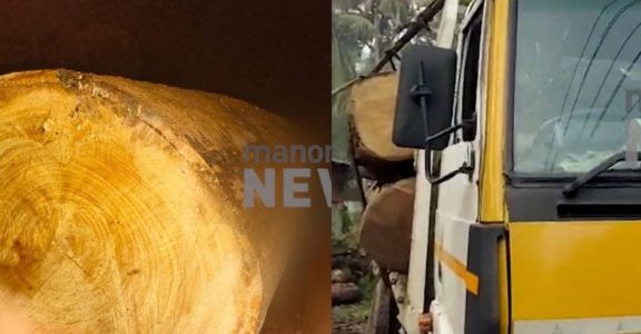 Man crushed to death while unloading timber from lorry in Alappuzha ...