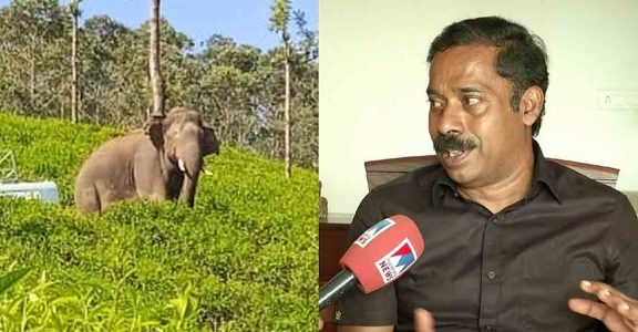 Return of translocated elephants can't be ruled out: Dr Arun Zachariah | Kerala News | Manorama ...