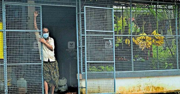 Nipah in Kozhikode: Contact list expands to 702, route map of both ... Nipah in Kozhikode: Contact list expands to 702, route map of both ...