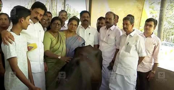 Kerala govt to provide 5 high-yielding cows to young dairy farmer ...