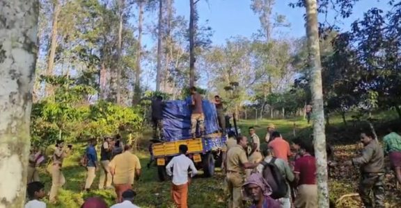 One more tiger trapped by forest dept in Wayanad; third capture in 2 months