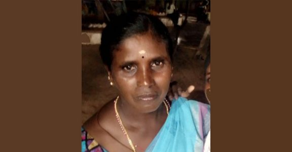 Wild elephant tramples woman to death in Idukki | Onmanorama