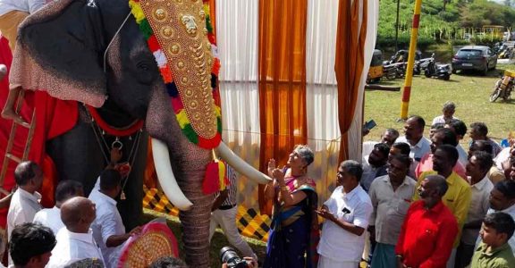Robotic elephant at Devarshola temple becomes a quick charmer for the ...