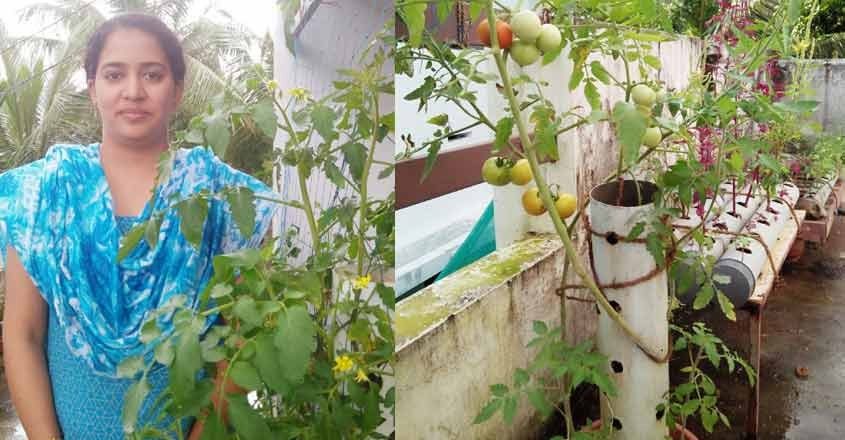 Vegetables from discarded PVC pipes: Simi turns terrace her farm ...