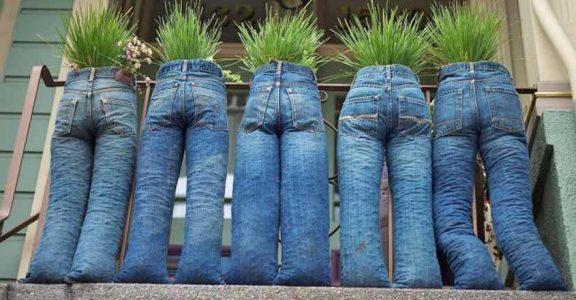 Try this unique 'jeans' garden to recycle your old denims | Lifestyle ...