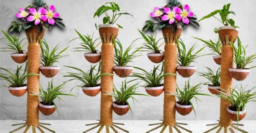 Try this easy spiral planter using coconut shells and bamboo ...