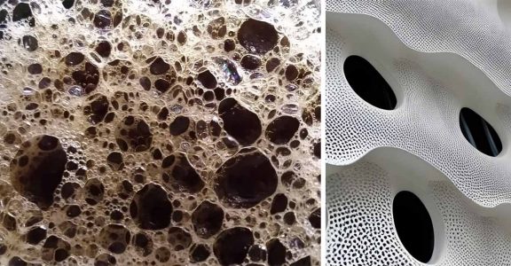 Trypophobia: Disgust, distress, and dread | Lifestyle Column | English ...
