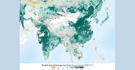 India, China contribute most to global greenery, says NASA | Green ...