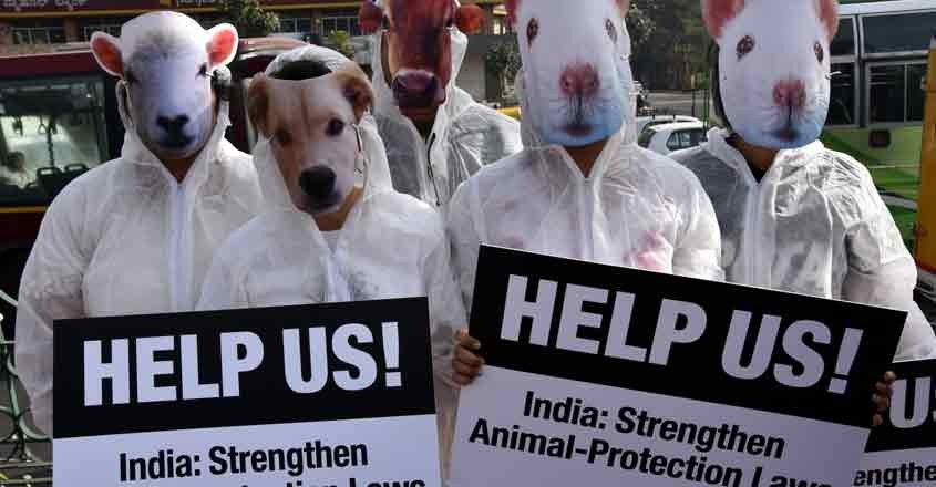 Peta to serve 'bloodied' person on plate as part of campaign