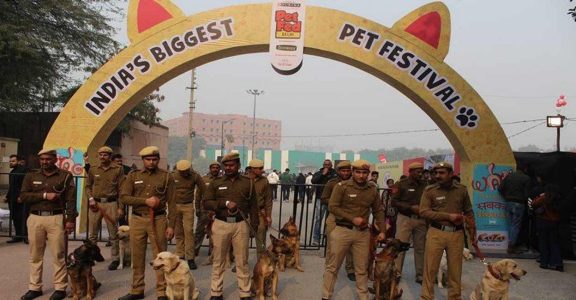 India's biggest pet festival back after 3 years, Delhi edition in ...