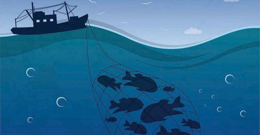 Fishermen on Lakshadweep's Bitra Island on cloud nine after massive ...