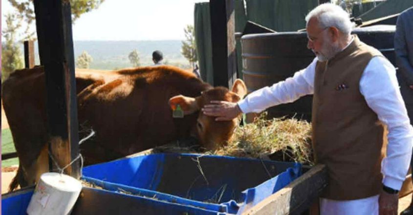 Cow is mother, says PM Modi in Varanasi