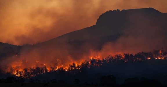 Forest fires flare up in Uttarakhand; Nainital, Almora, Tehri worst-hit