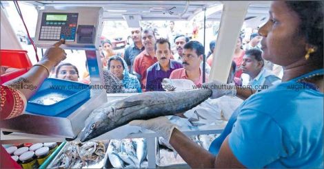 Now, get chemical-free fish fresh and firm every day | Fish | Kerala ...