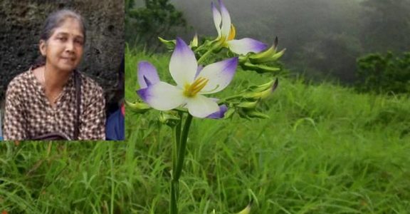 Now, endangered Kannamthali, Kayampoo set to grace your gardens