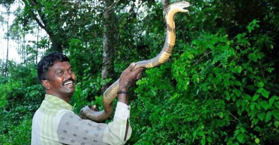 Vava Suresh, who rescued 50,000 snakes in Kerala, stable after viper ...