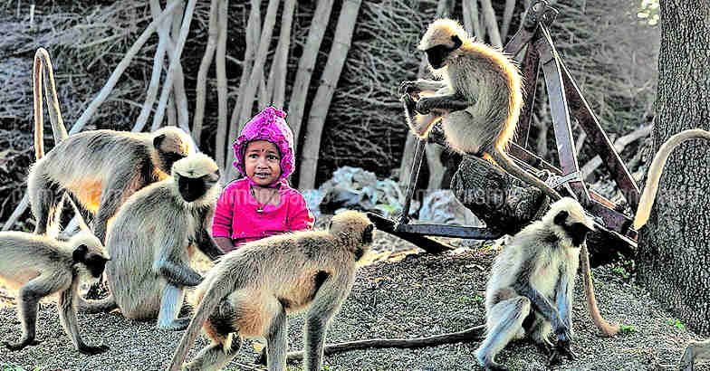 Simians are no monkey business for Karnataka's Mowgli boy | Mowgli boy ...