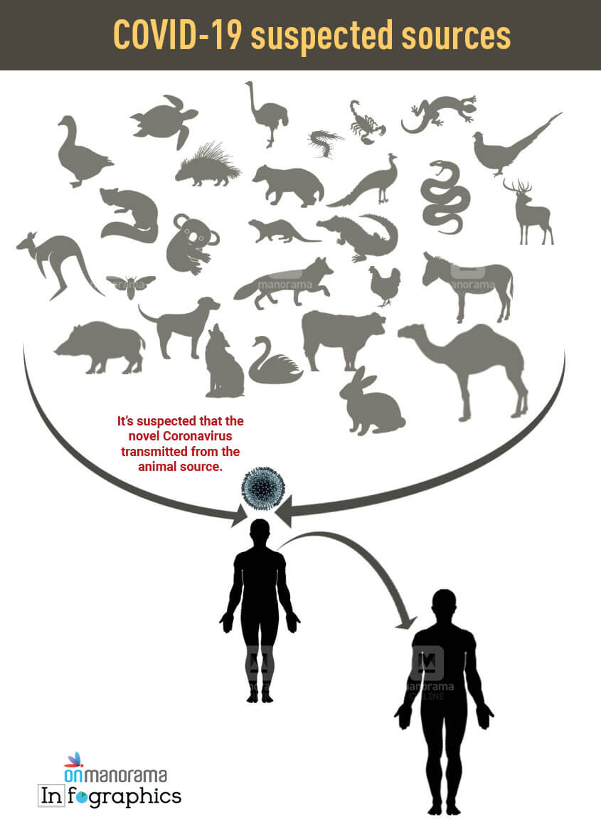 Coronavirus, all you need to know about symptoms, risks and prevention ...