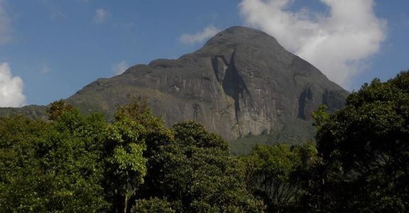 Find the soul of Western Ghats, trek up to the serene Agasthyakoodam ...