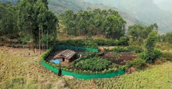 Kanthalloor, Kerala’s Kashmir, casts a spell | Hill Stations | Kerala ...