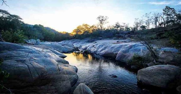 Log cabins of Chinnar are a traveller's dream | wildlife sanctuary ...