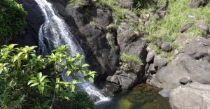 Mount Sathram is another gem of a place in Idukki | Travel | Manorama ...