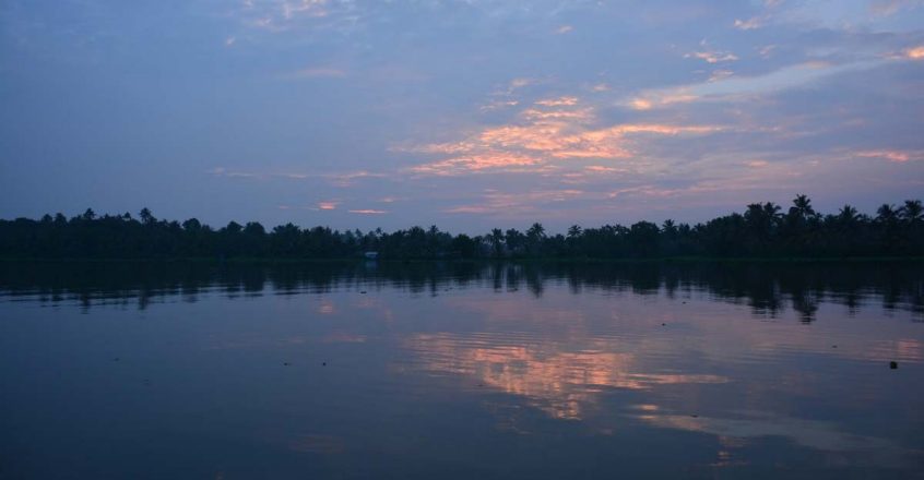 Kakkathuruthu, an island yet to be exploited by tourists | Travel ...