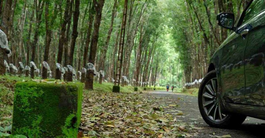 Drive to Mampazhathara through a forest path that Google can't take you ...