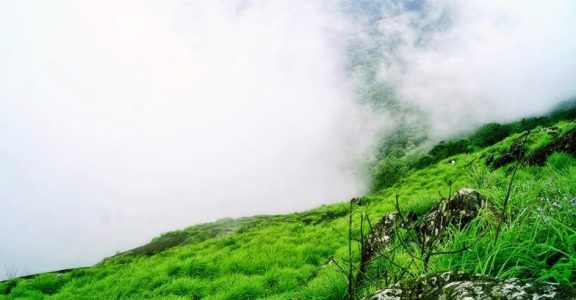 Ponmudi - Kerala’s golden peak | Weekend destination from ...