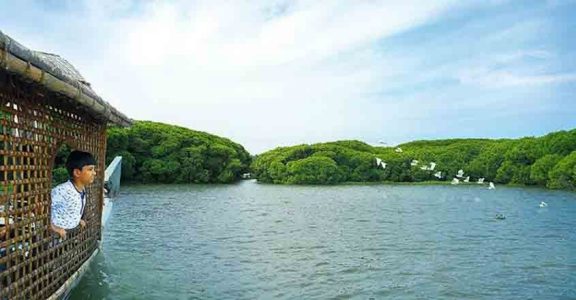 Chettuva in Thrissur: Flaunting Kerala’s biggest mangrove forest ...