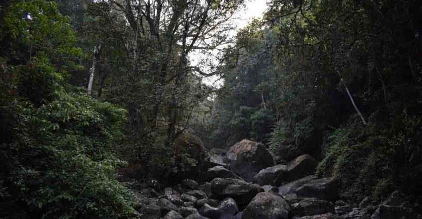 Misty mountains to cave galleries: Around Wayanad in 7 hours | Wayanad ...