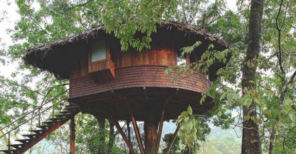 Tree houses that offer a real feel of the forest | Travel | Hourglass ...