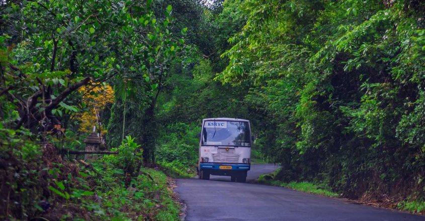 Watch wildlife at night on KSRTC’s jungle safari bus