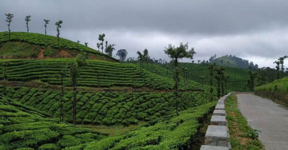 The view from Valparai and the tiger sanctuary | Kerala | Manorama English